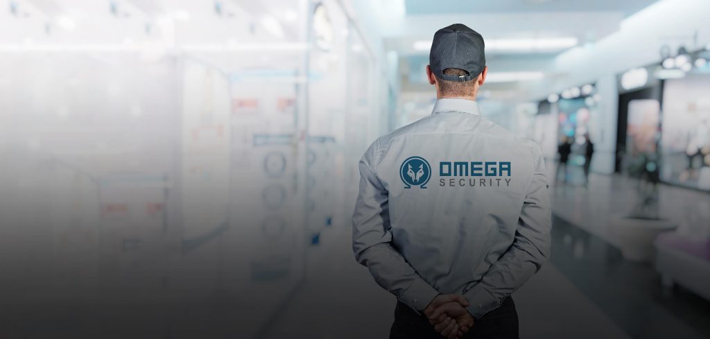 Job application - Omega bezbjednost